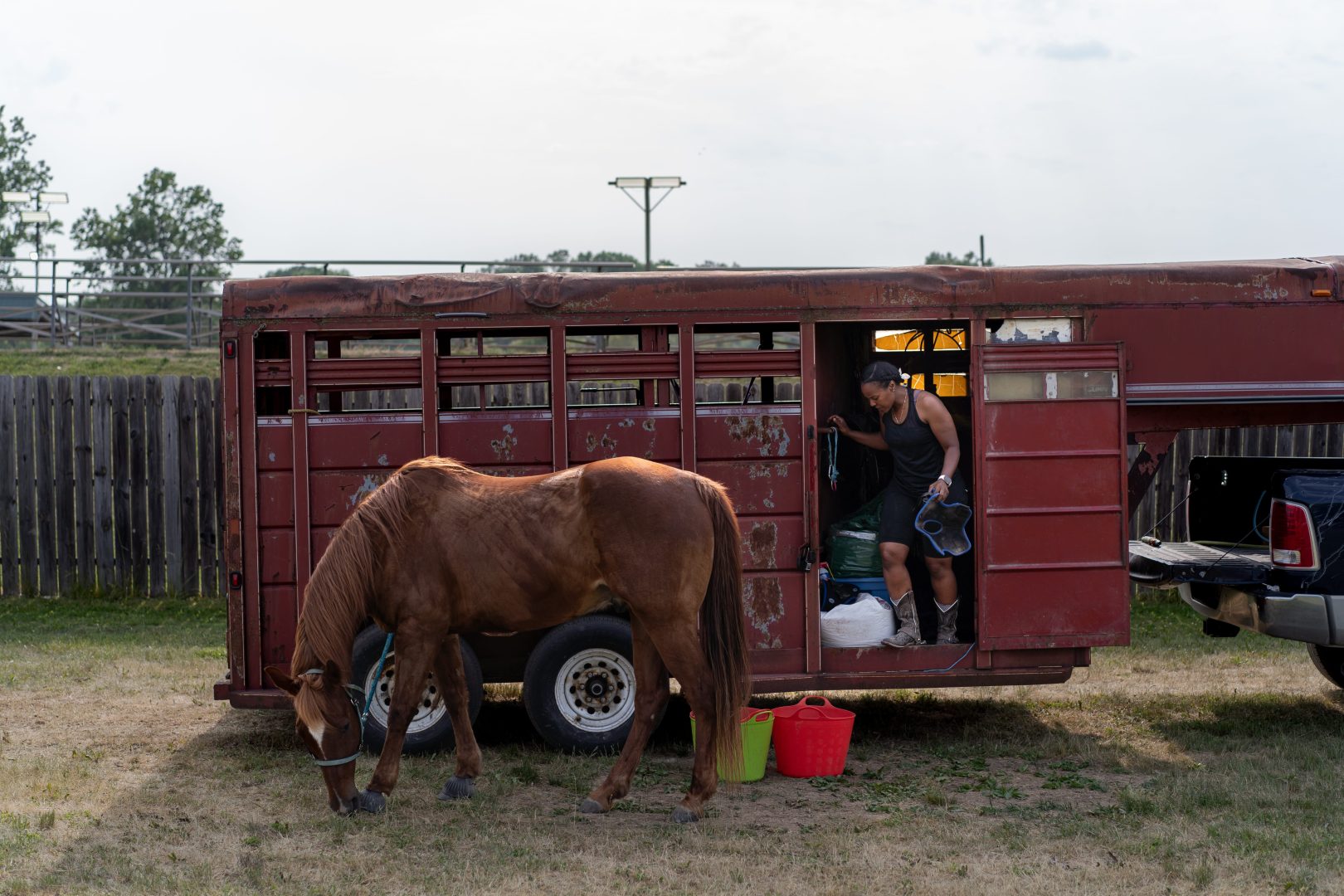 Several barrel horses injured in stabbing incident at the NBHA Las ...