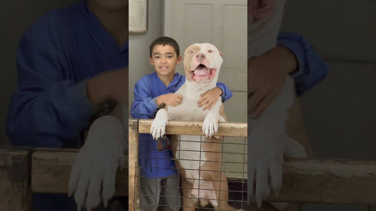 This dog has a seriously intimidating presence