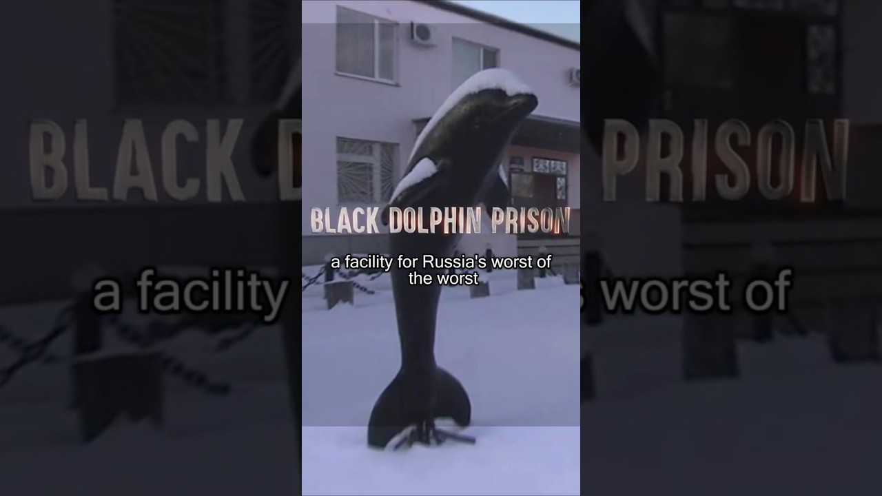 Learn how people survive in the toughest prisons in Russia