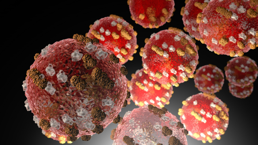 West Virginia health officials issue health advisory and monitoring ...