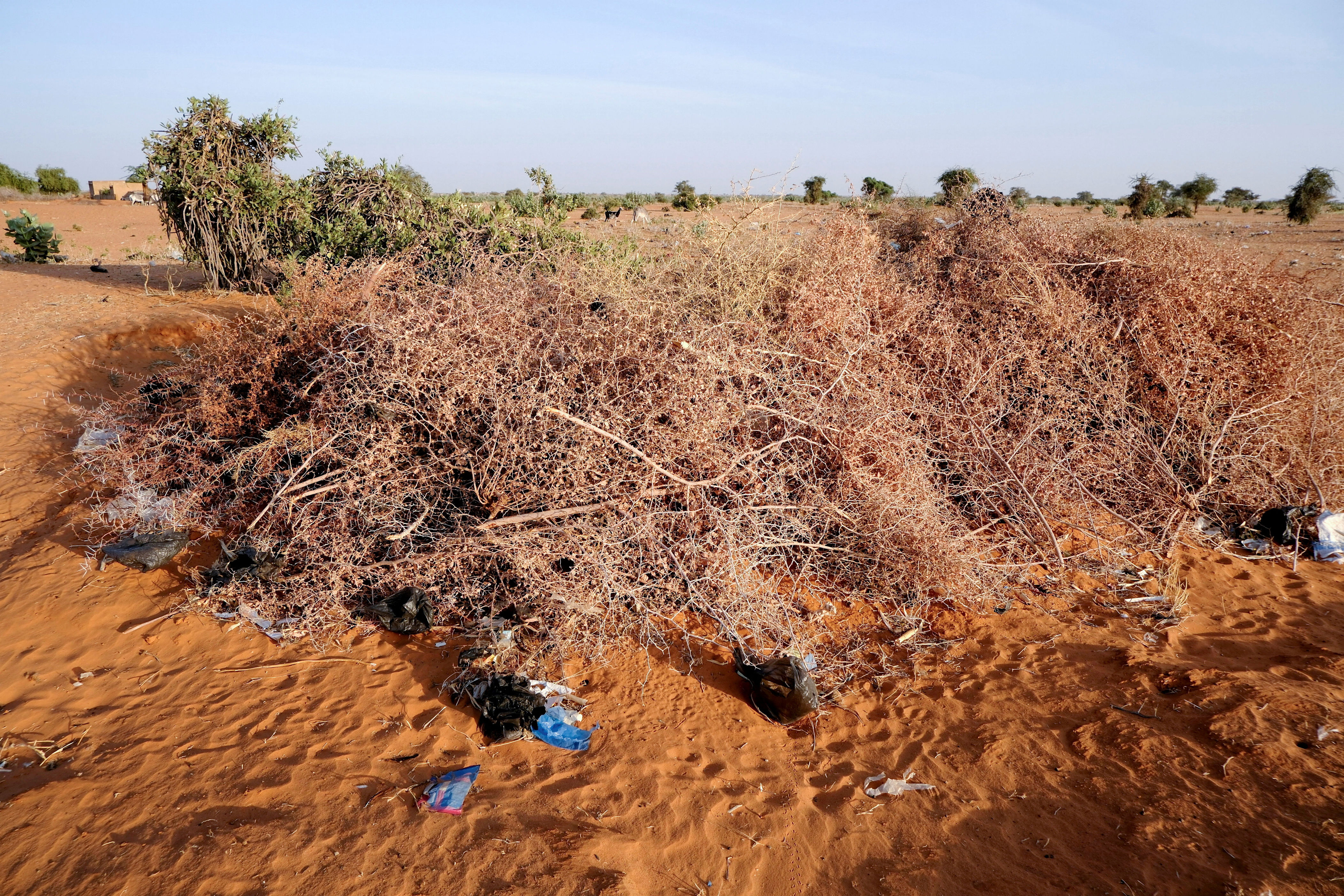 Rights group says drone strike kills 11 in central Sudan market
