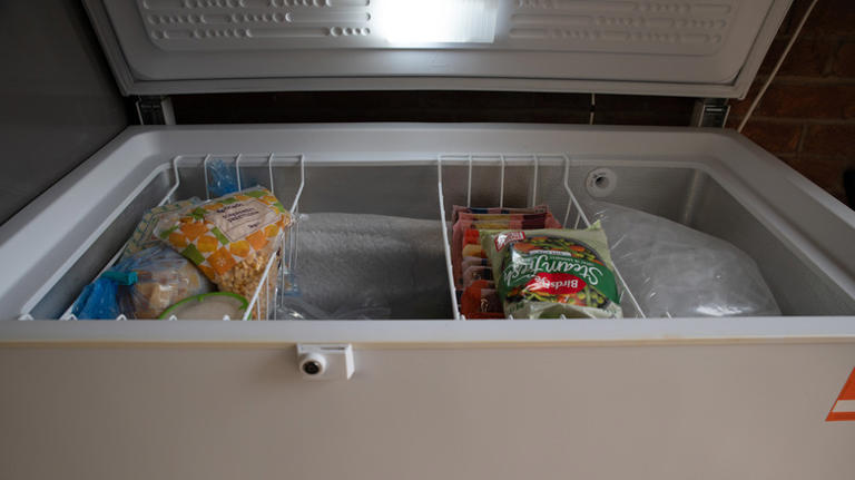 Reusable grocery bags piling up? Use them to conquer your freezer mess ...