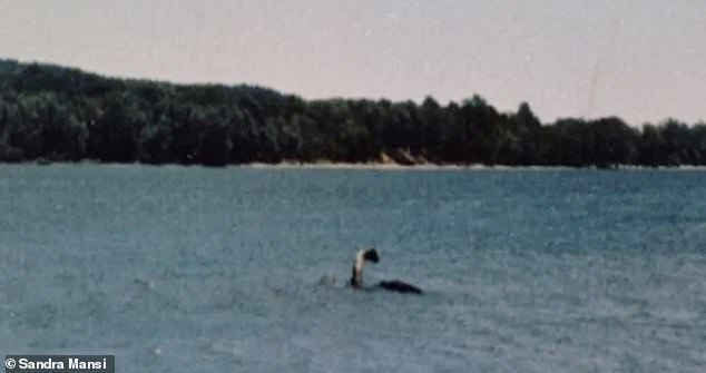 Mystery of America's Nessie deepens as strange creature appears behind ...