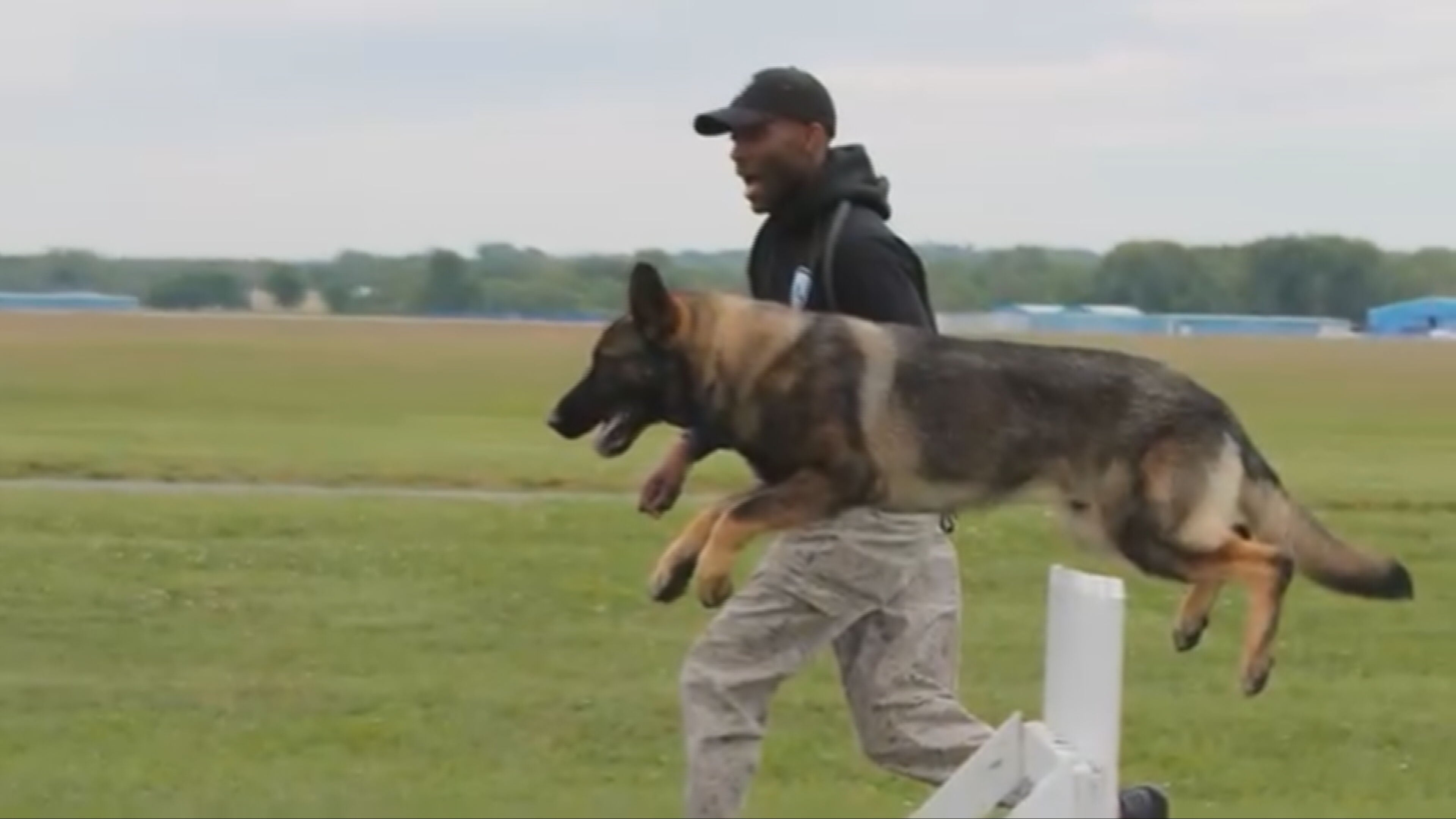 Police department mourns death of retired K-9