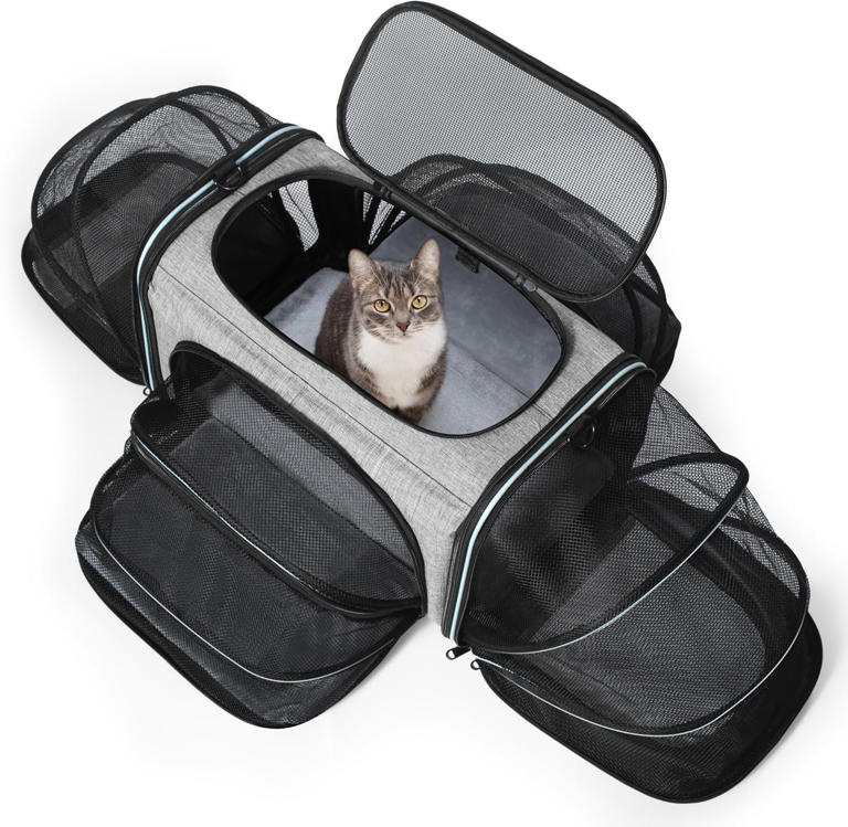 The best actually-comfortable pet carriers for travel