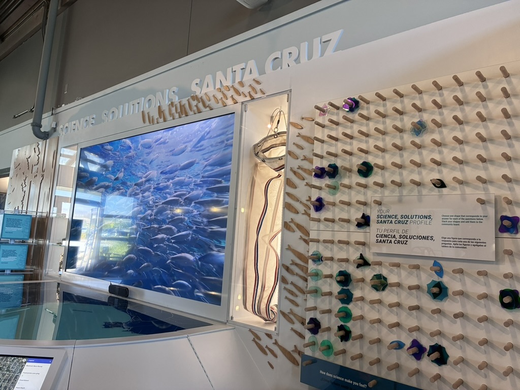 Santa Cruz | Seymour Marine Discovery Center to open first new exhibit ...