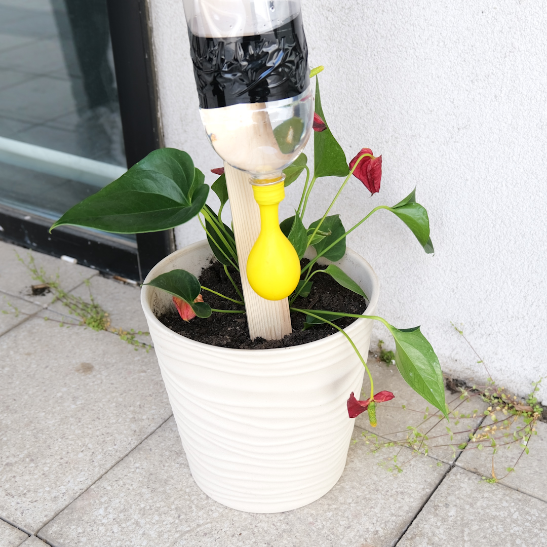 Geef je planten water, zelfs als je niet thuis bent 💧