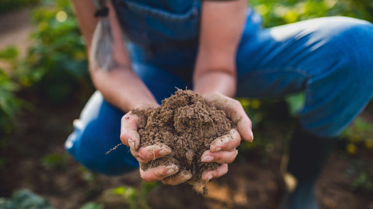 Why there's simply no need for specialty soil blends