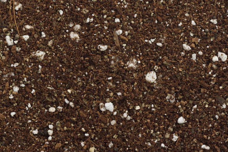 What's the white stuff in my potting mix?