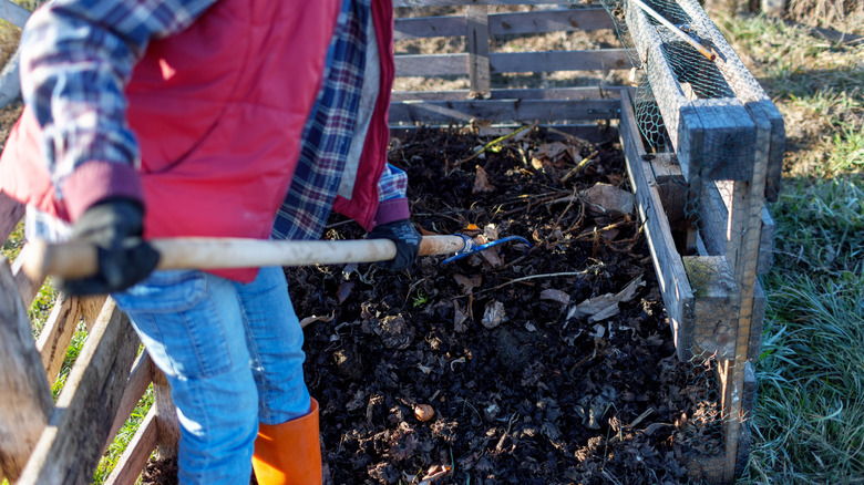 Downsides of an outdoor compost bin you haven't thought about