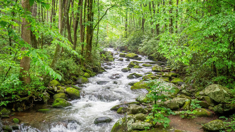 9 secret spots in Great Smoky Mountains National Park most tourists miss