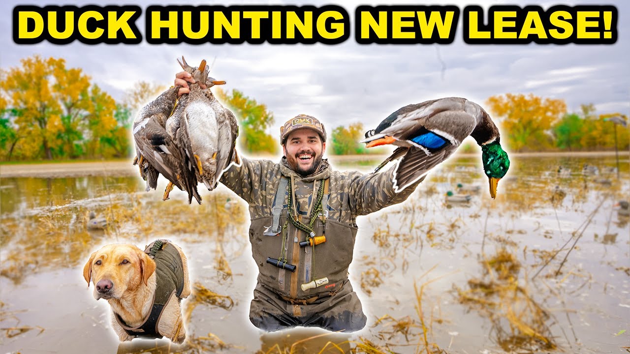 3-man limit duck hunting adventure!