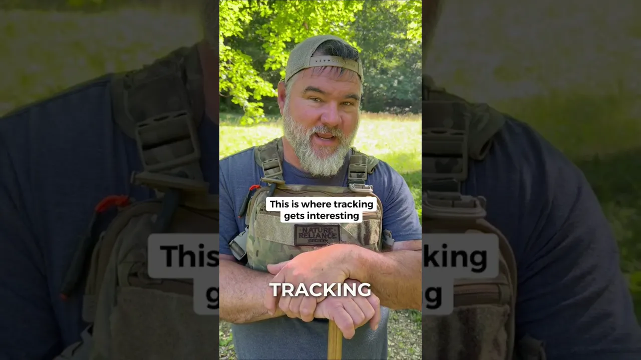 How to track mud transfer on leaves