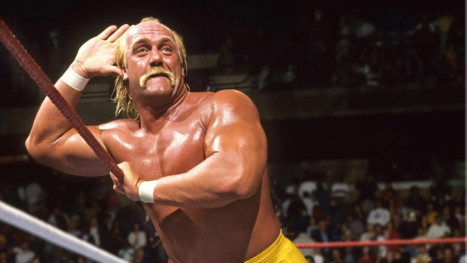 Hulk Hogan cause of death: Police close investigation nearly one year ...