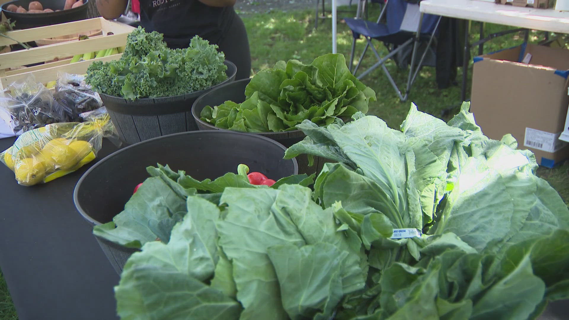 A visit to Masten's Rooted in the Park Farmers Market
