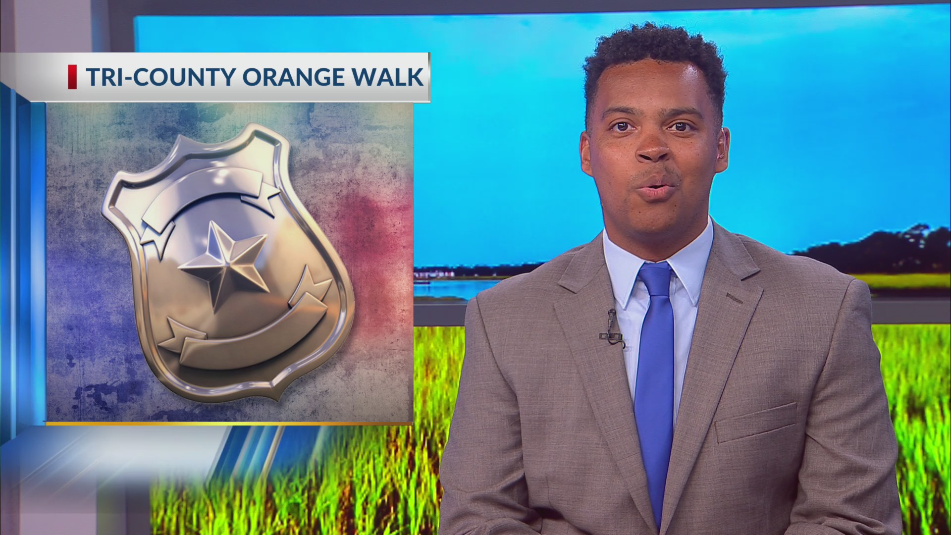 Tri-county orange walk with law enforcement raises awareness about gun ...