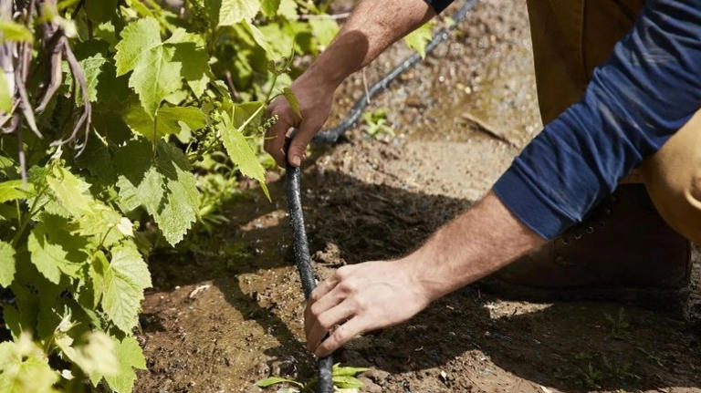 12 of the top Harbor Freight summer items you can buy