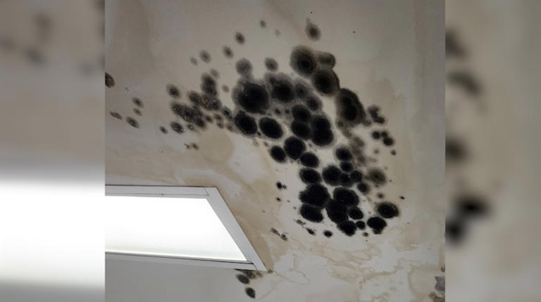 Postal workers’ union raises concerns over suspected mold at Hilliard ...