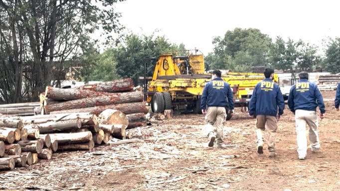PDI desarticula asociación delictiva dedicada al robo de madera en ...