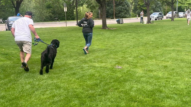 Workshop helps train Idaho dogs to avoid rattlesnakes, skunks and ...