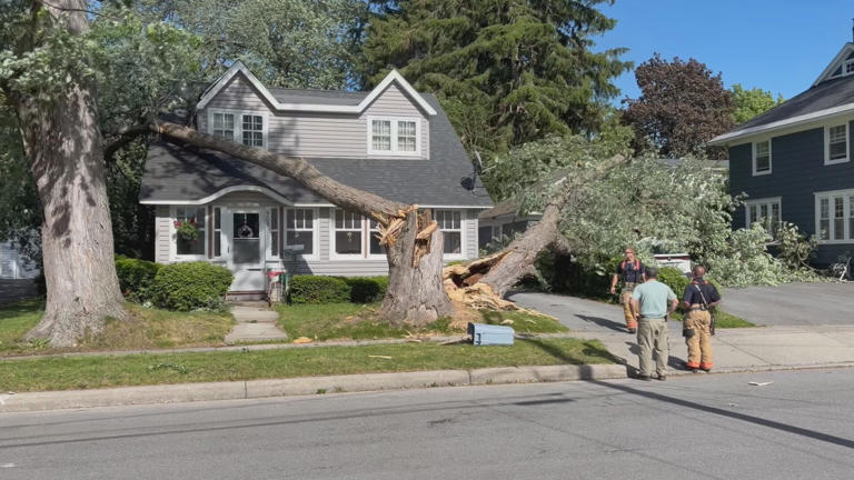 High winds cause falling trees, power lines across Jefferson County
