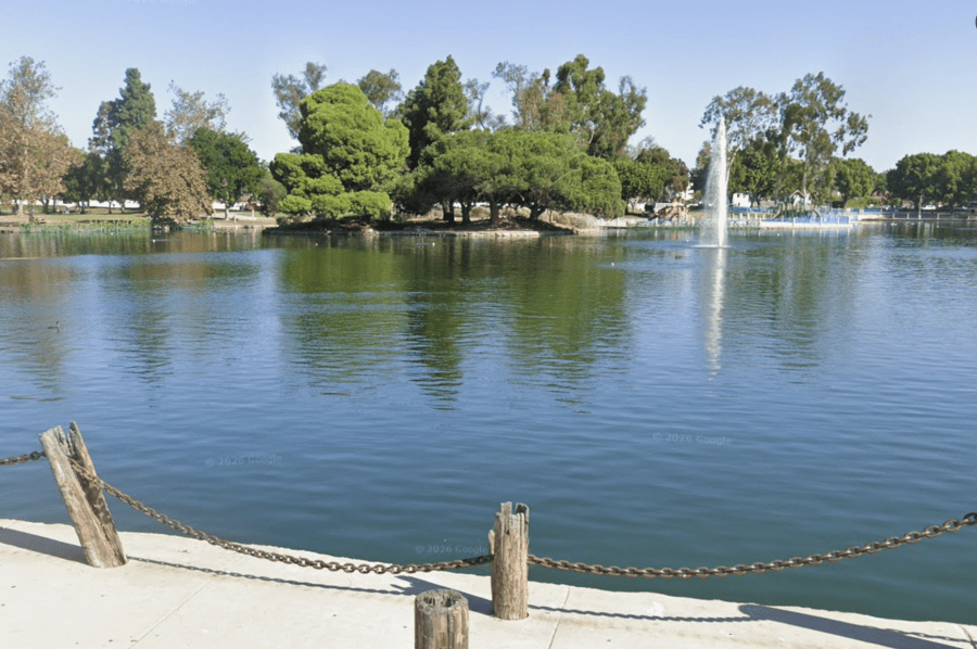 Man allegedly harming turtles at Orange County park, police investigating