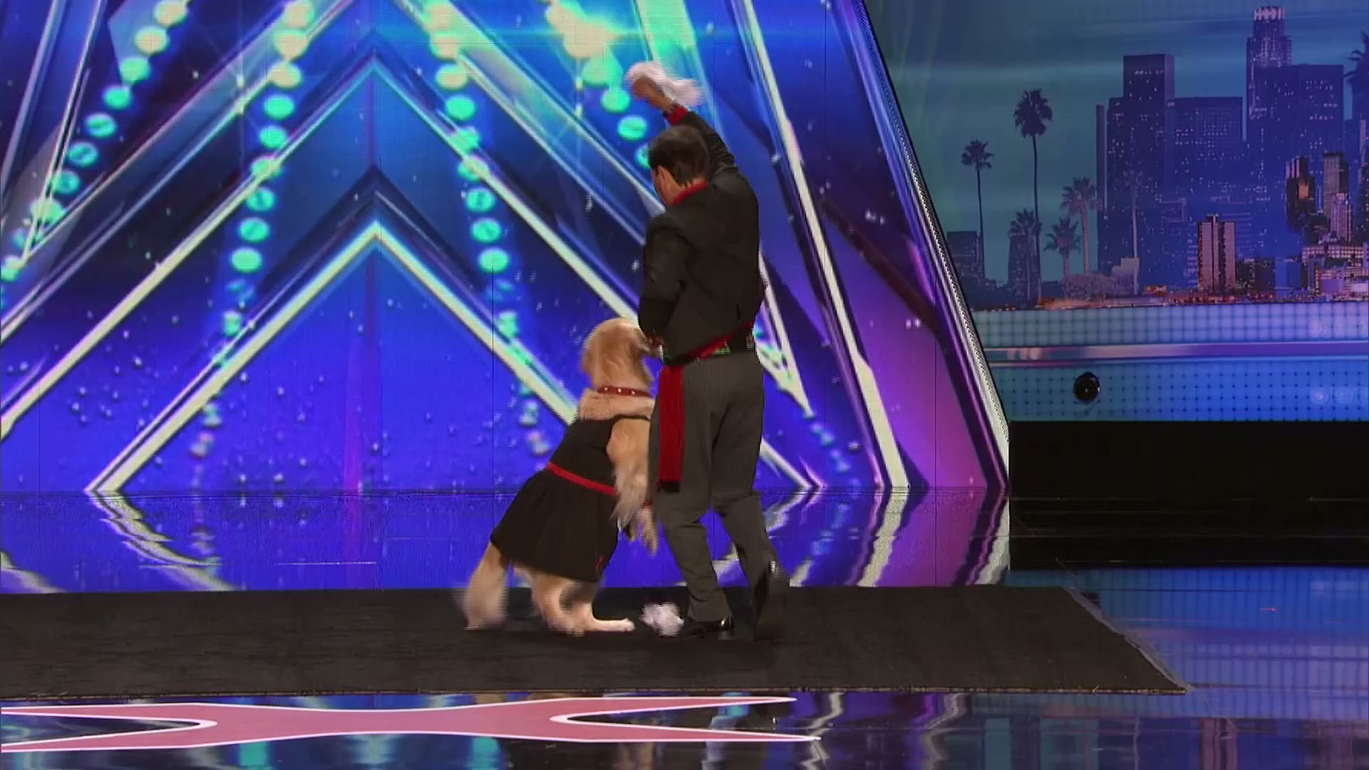 Jose and Carrie: Dancing dog shows her sweet moves - America's Got ...