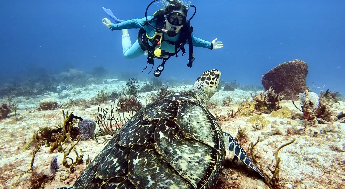 Scuba diving 🤿 in Cozumel with Sand Dollar Sports