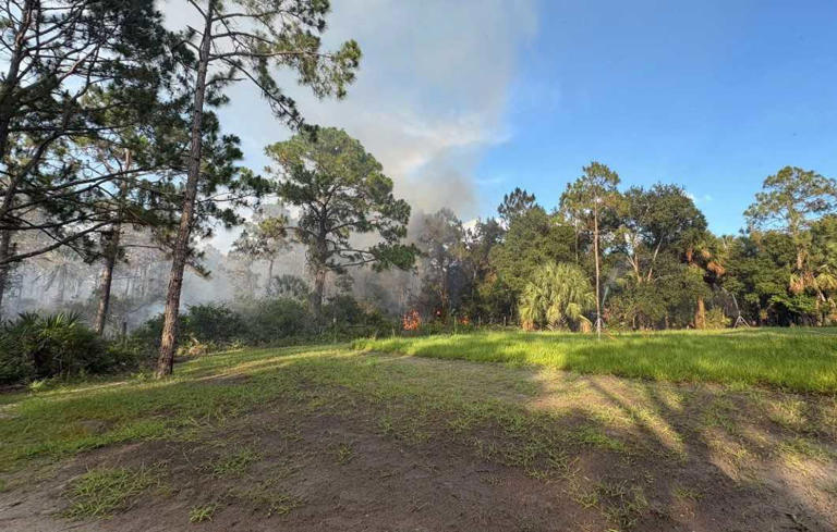 Martin County battling 120-acre brush fire in Indiantown