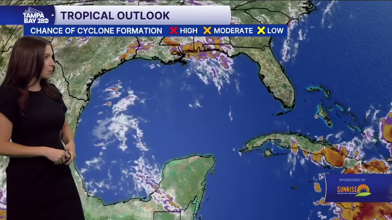 Tracking the tropics | June 6, evening update