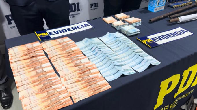 PDI desarticula asociación delictiva dedicada al robo de madera en ...