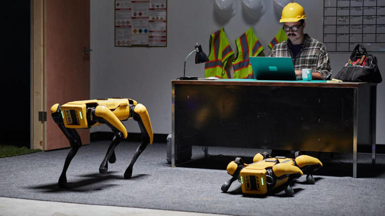 Hyundai’s robot dogs will patrol World Cup venues for security