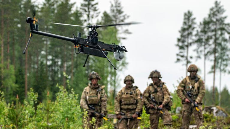 Delays to defence plan undermine UK credibility, MPs say