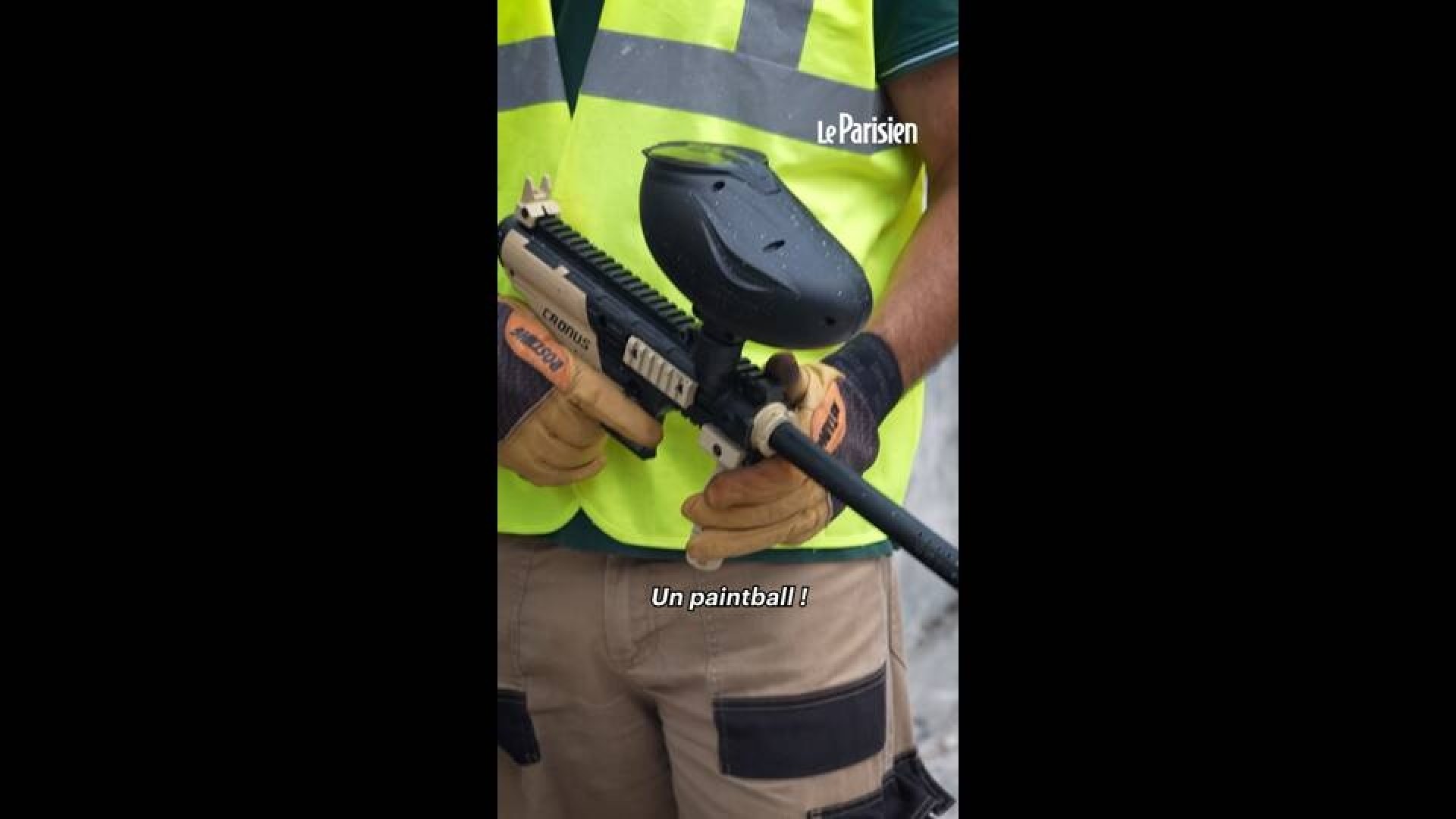 Il tire sur des chenilles processionnaires au paintball