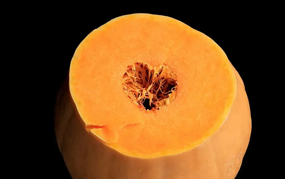 Cozy butternut squash ideas for chilly nights