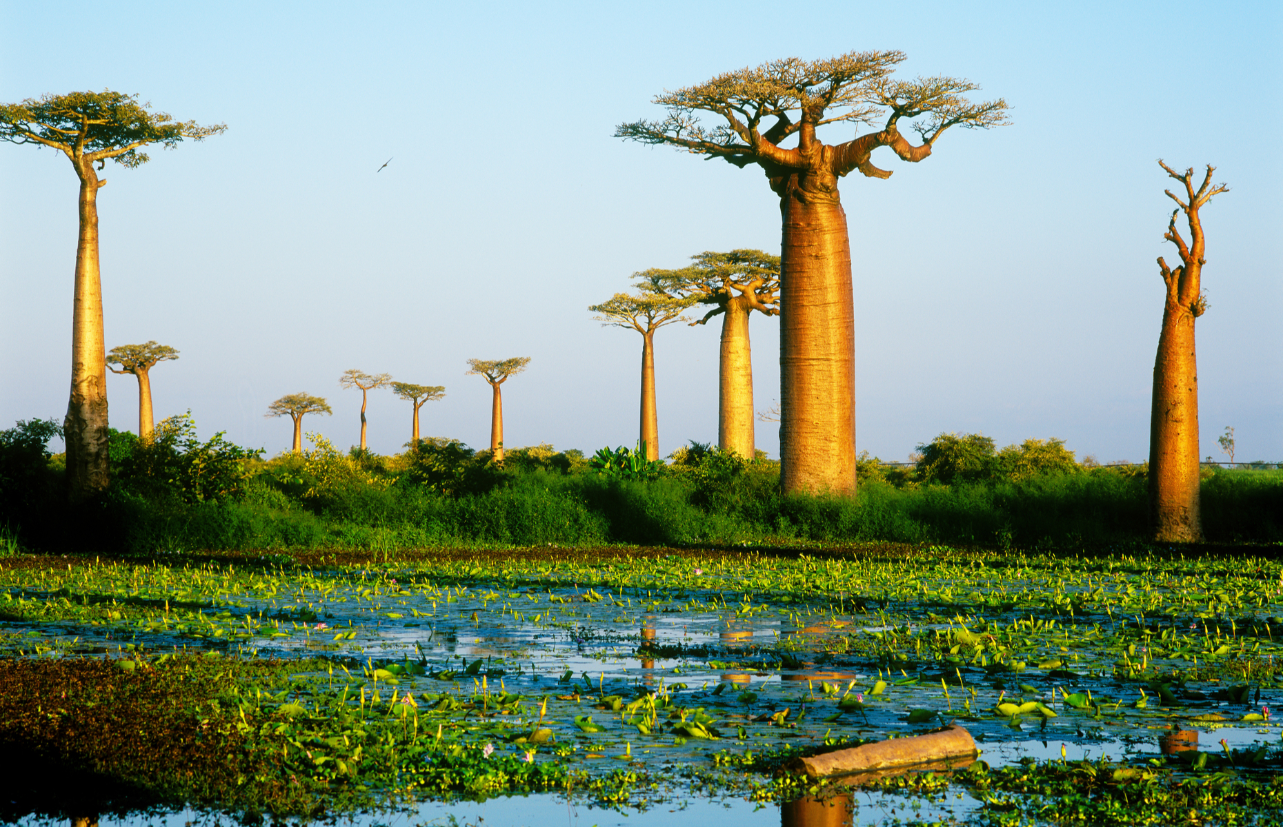 The spectacular beauty of nature around the world