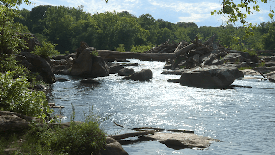 Fredericksburg police investigate 3 walking path assaults