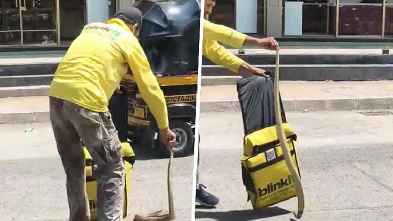 From groceries to reptiles? Viral video shows Blinkit rider casually ...