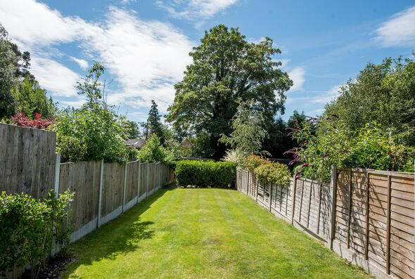 £695 warning to anybody with a tree in their garden