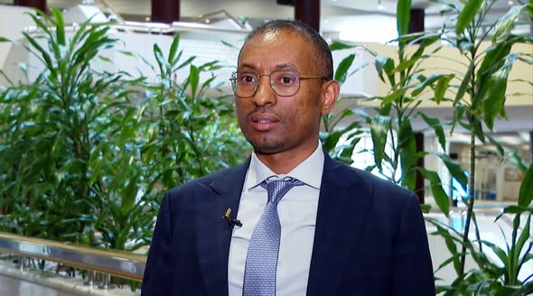 Ethiopia determined to strengthen regional energy connectivity, says ...