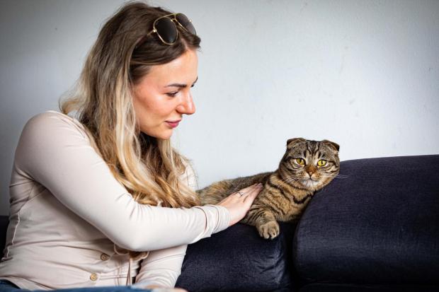 Southend woman issues warning over celebrity cat craze after pet's ...