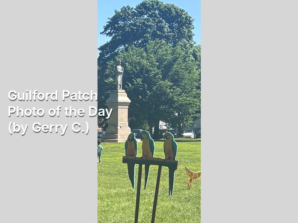 🌱 Patch AM: Which Guilford spots made this list of Connecticut’s cutest ...