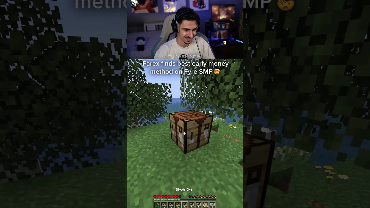 Best early game money method on Fyre SMP