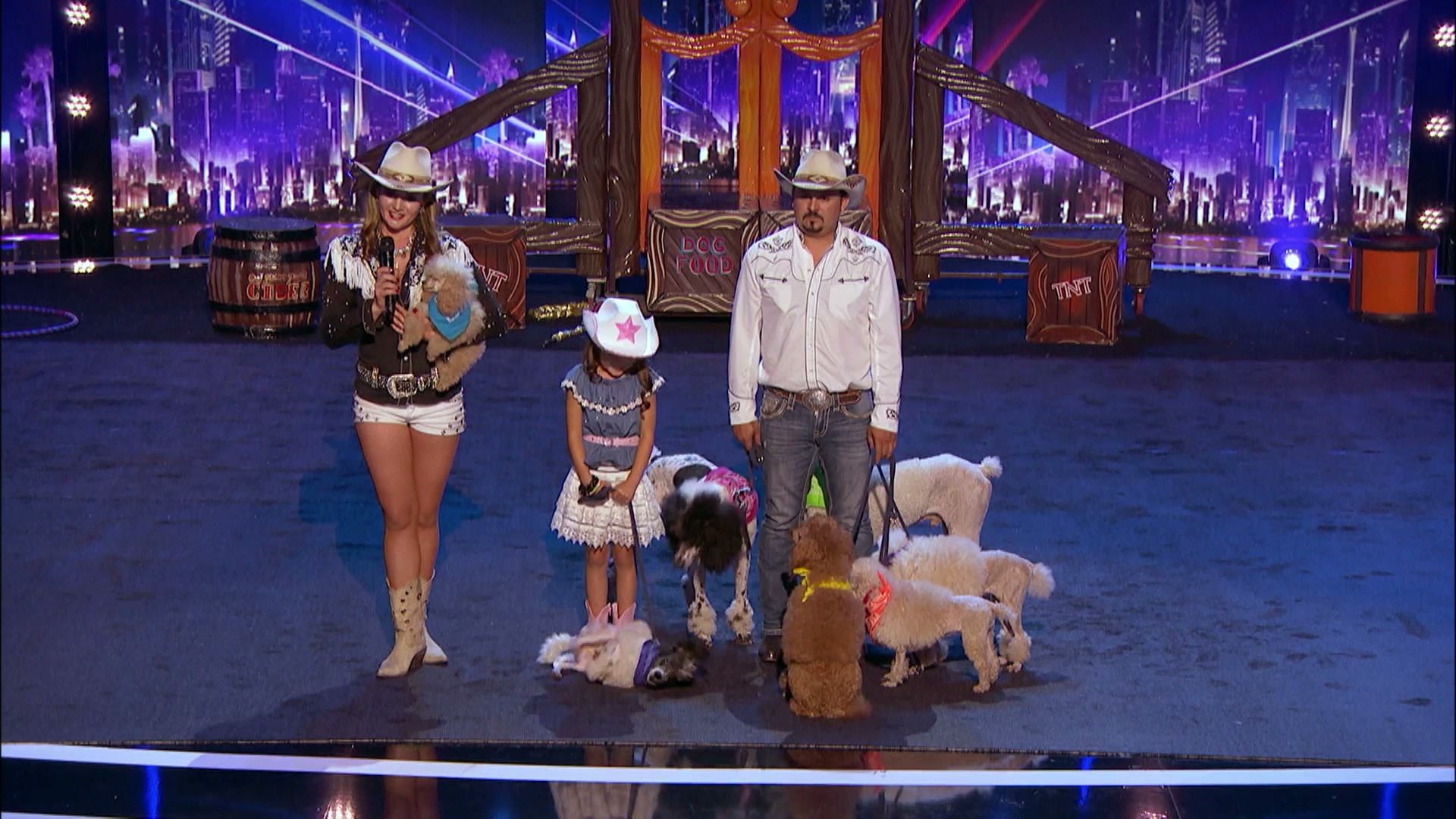 Pompeyo family dogs - dog act