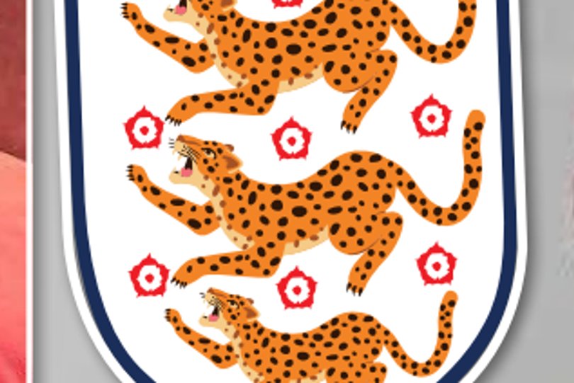 Beasts on England's badge 'aren't lions' as boffins claim we've got it ...