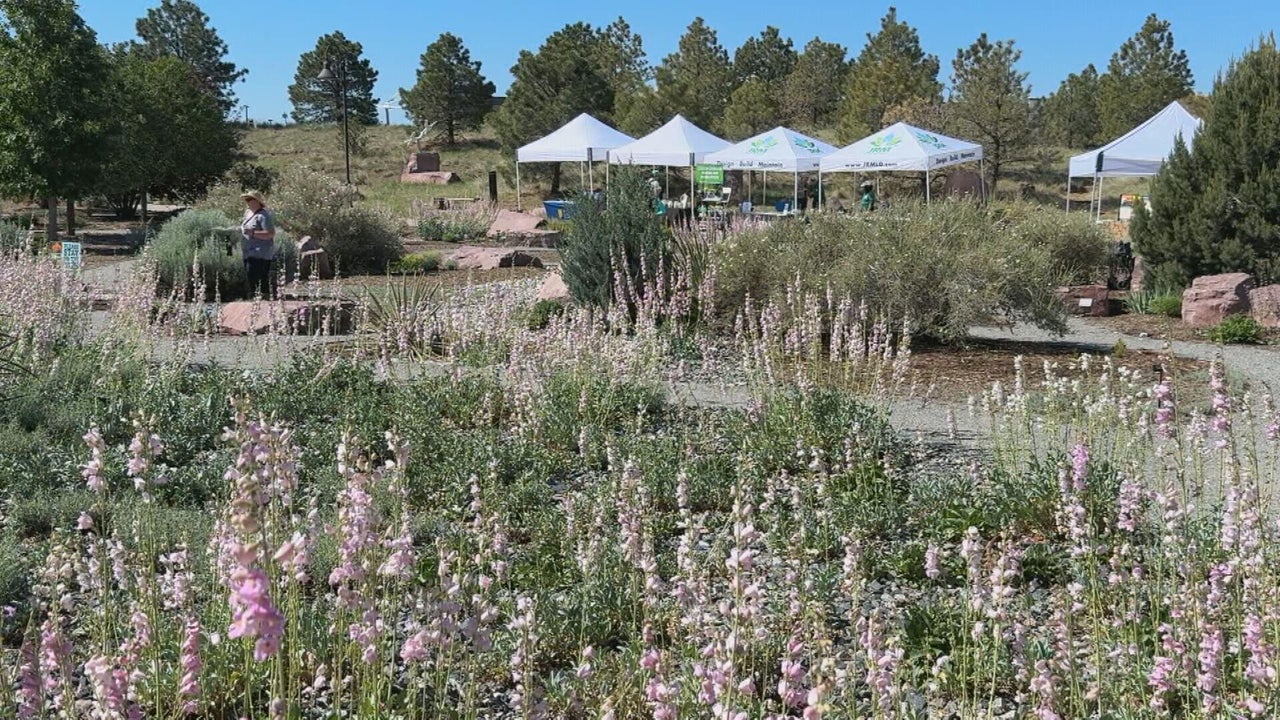 Aurora water-wise program helps resident gardens flourish despite ...