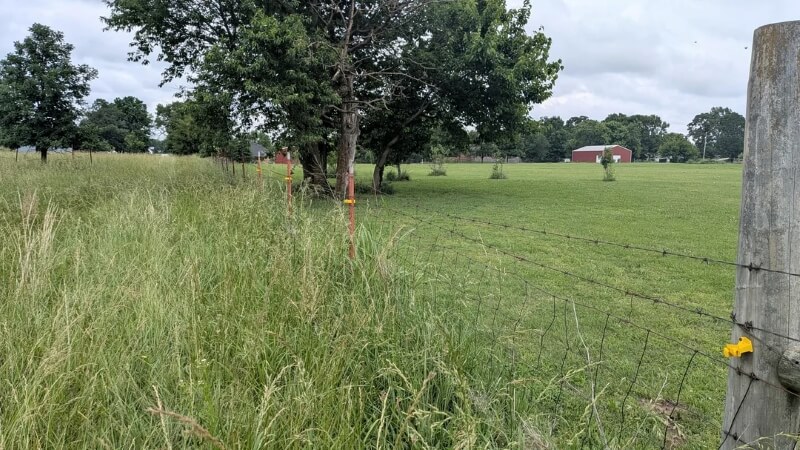 'So much work for boring results': Landowner watches neighbors mow 10 ...