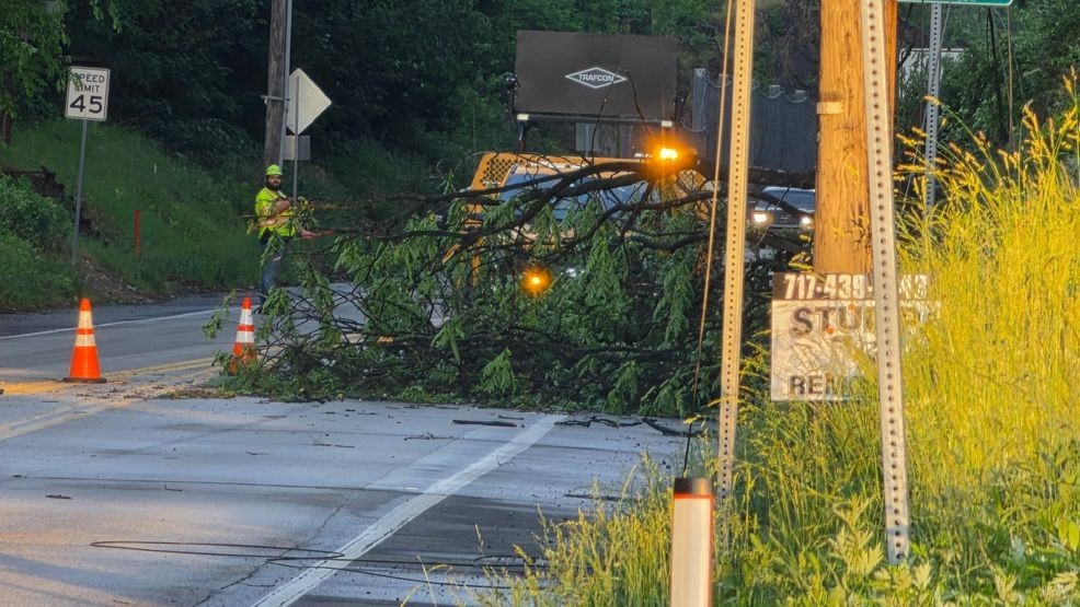 Downed trees amid strong storms close roadways in central Pennsylvania ...