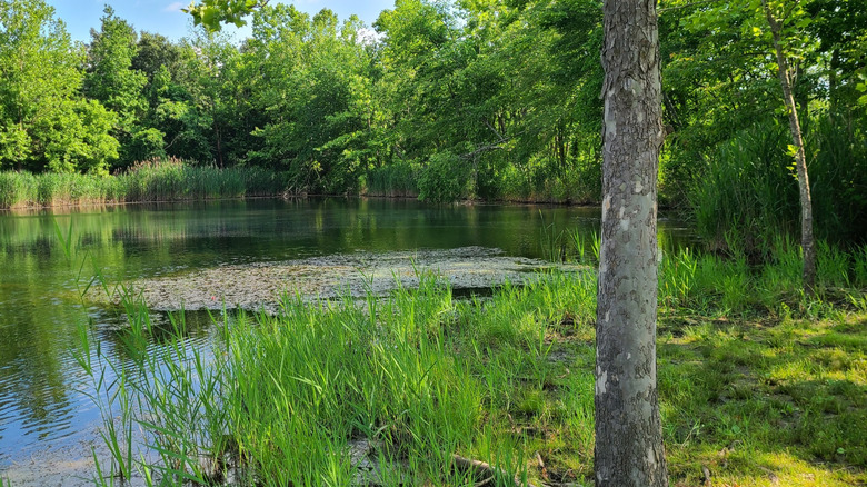 Between St. Louis and Nashville is Illinois' once-thriving mine that's ...