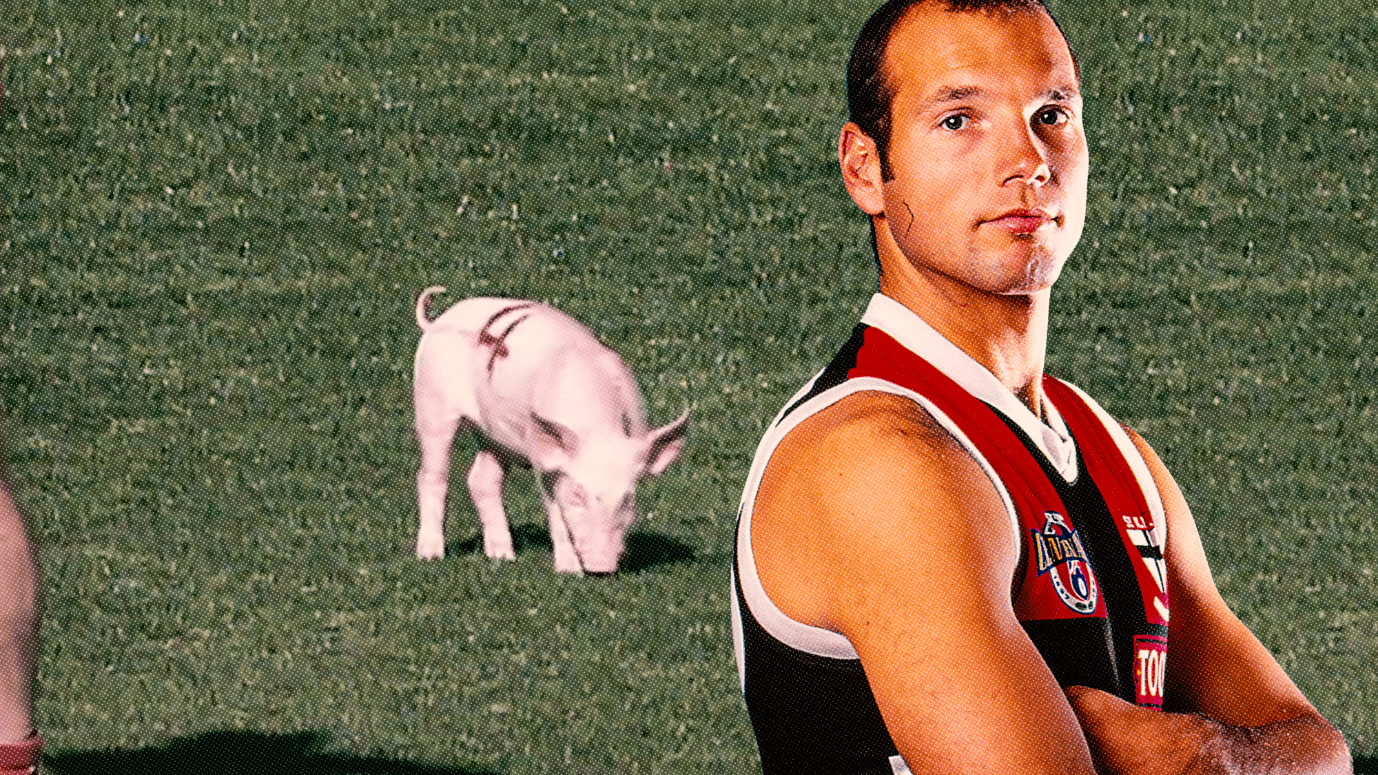 There is a pig at full-forward!: The day the AFL’s SCG became the ...